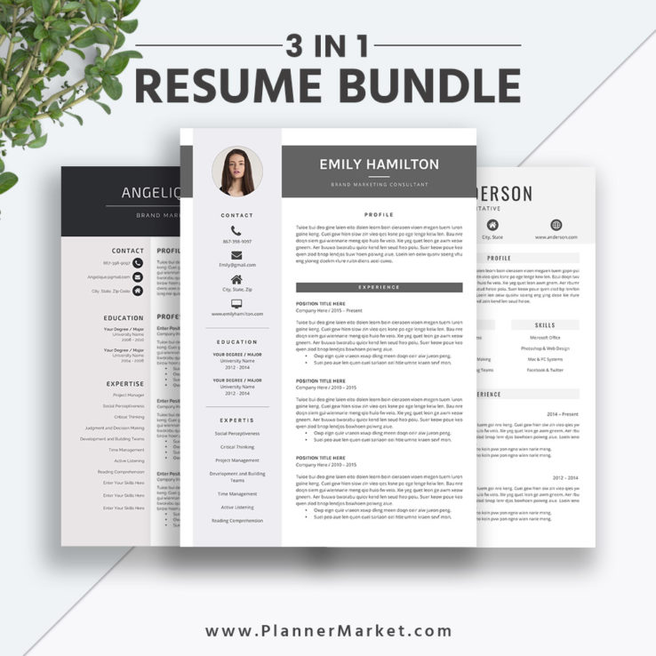 Professional and Irresistible MS Word Resume Bundle / Curriculum Vitae ...