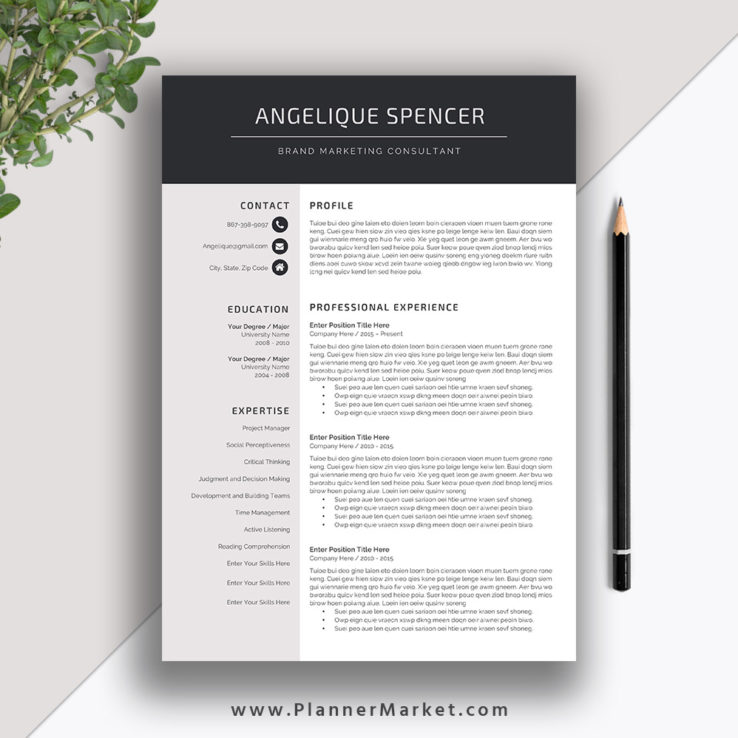 Professional Resume Template for MS Word, 1-3 Page CV Template ...