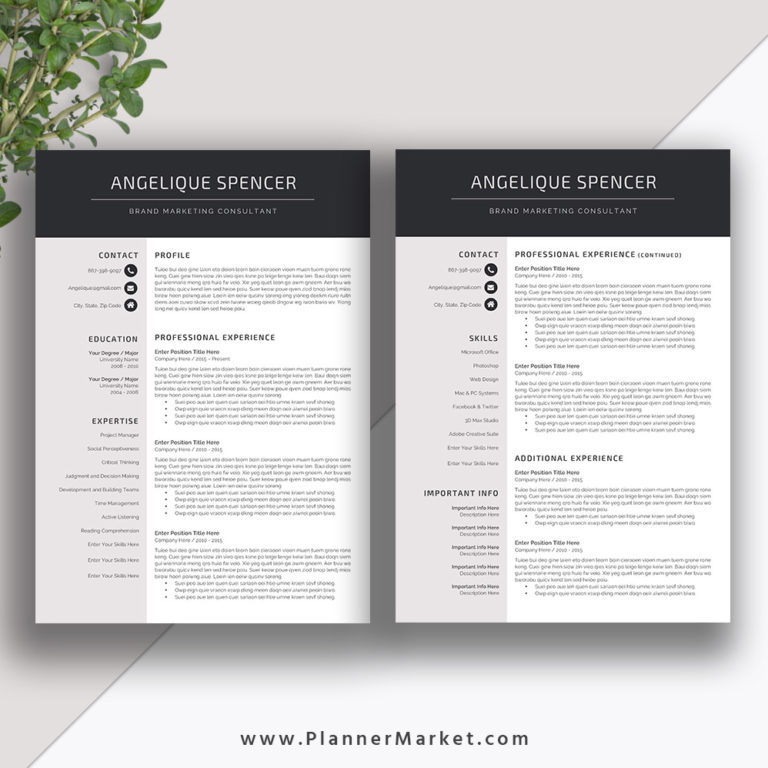 Professional Resume Template for MS Word, 1-3 Page CV Template ...