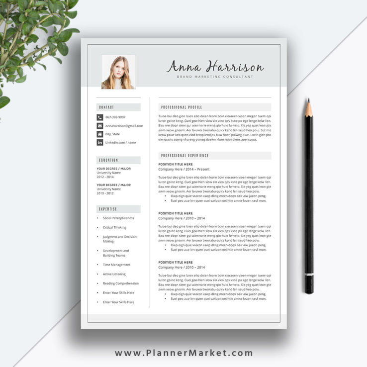 Professional Resume Template for MS Word, 1-3 Page CV Template ...
