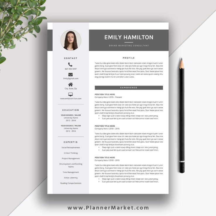 Make Your Resume More Recruiter Friendly. Modern Resume Template With ...